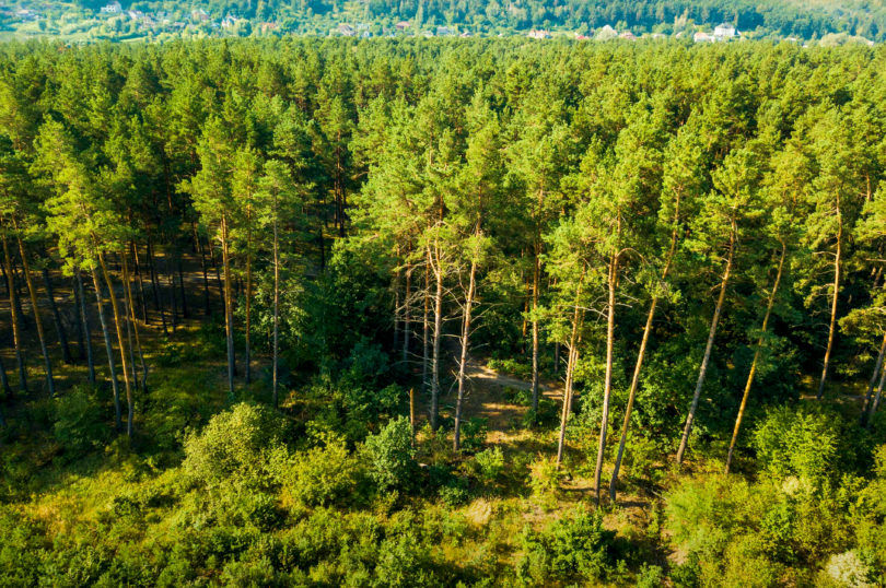 Shelby Meek, Author at Thermo Design Engineering - TDE